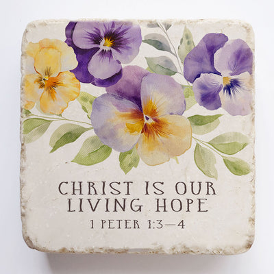 Scripture Stones | Stones of Remembrance & Inspirational Verses ...